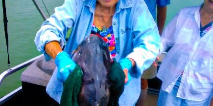 A Truly Purr-Fect Fish Story | Shorehaven